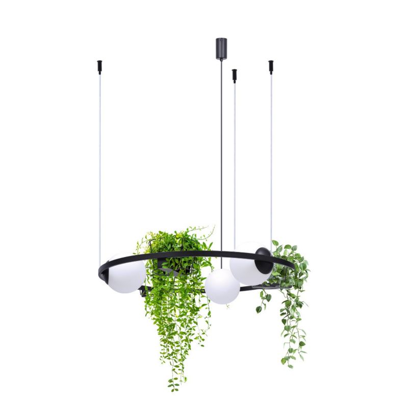 Żyrandol Zuma Line Plant czarno-biały wym: 120 x 78 x 78 cm 3xE27 x 40W ...