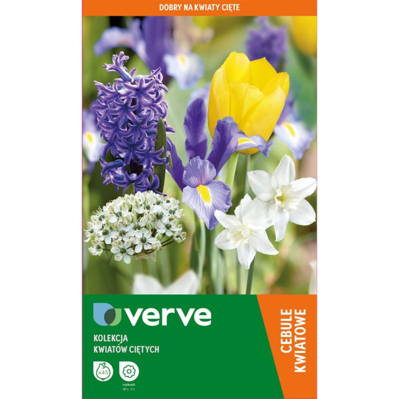 Cebule Verve kolekcja kwiatów ciętych 45 szt. | Majsterkowanie w Castoramie