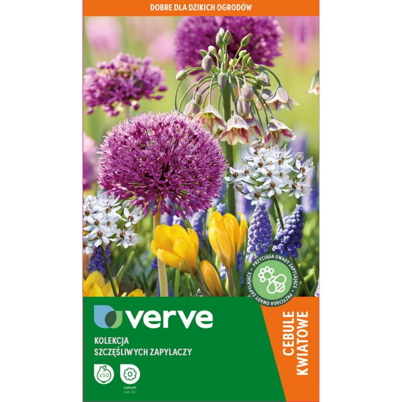 Cebule verve kolekcja szczęśliwych zapylaczy 50 szt. | Majsterkowanie w Castoramie
