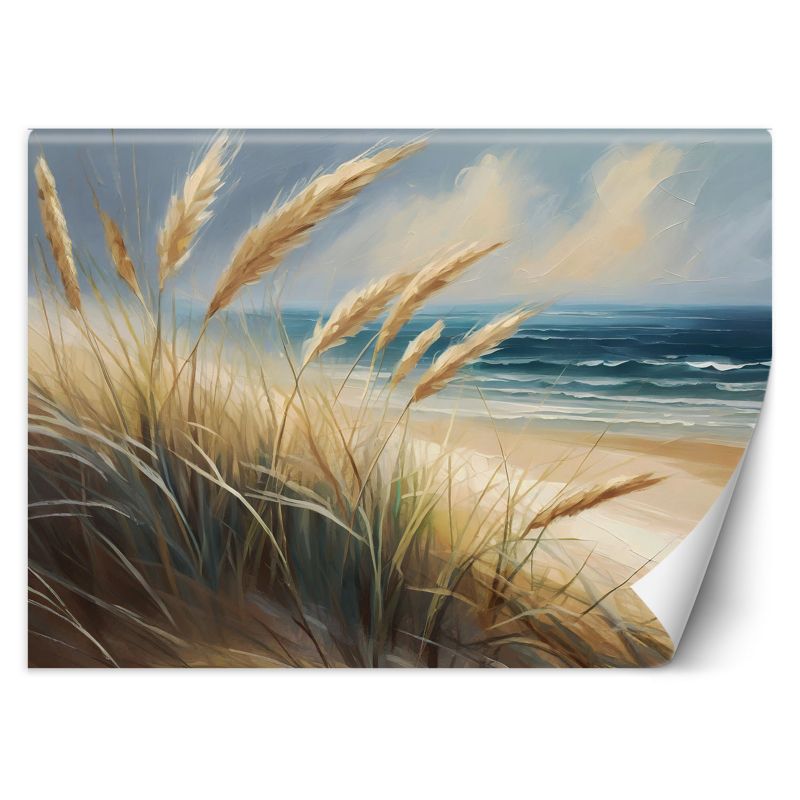 Fototapeta Feeby Morze Plaża Przyroda Krajobraz 350x245 1 szt | Majsterkowanie w Castoramie