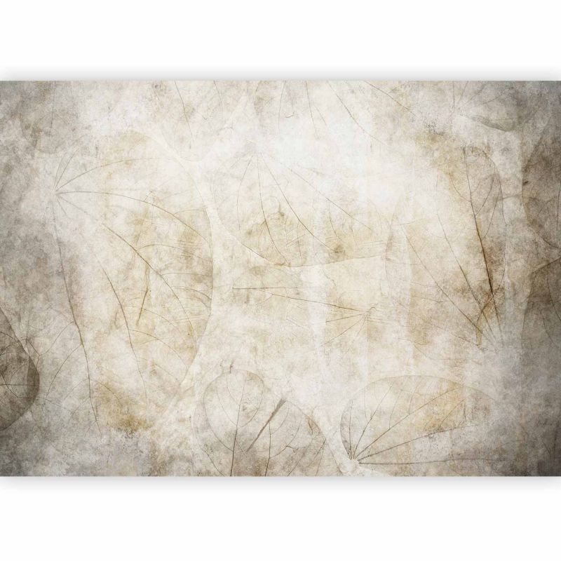 Fototapeta flizelinowa Premium Artgeist 155g/m2 Abstrakcje szara 100x70 ...