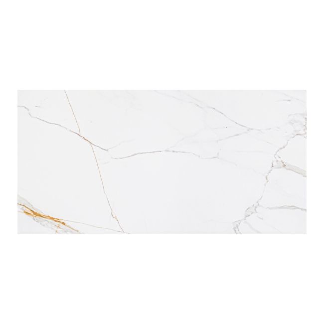 Gres mrozoodporny szkliwiony polerowany Sidamo Ceramstic 60 x 120 cm 1,44 m2 | Majsterkowanie w ...