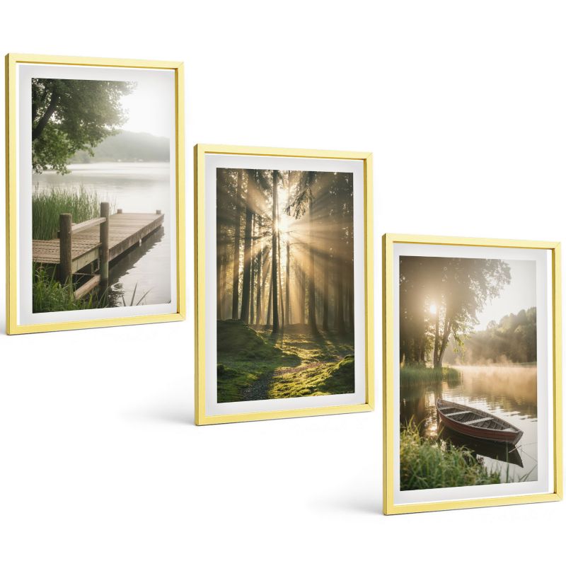 Komplet 3 Obrazów w Złotej Ramie ArtPrintCave 40x60 cm Grafika Ścienna ...