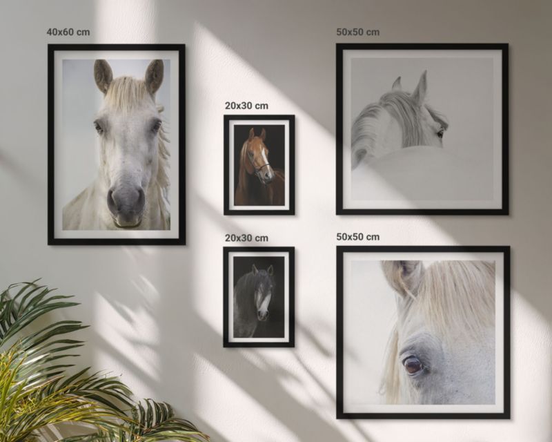 Komplet 5 Obrazów ArtPrintCave (2x50x50+2x20x30+40x60cm) Czarna rama ...