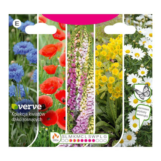 Nasiona kwiaty dziko rosnące Verve kolekcja | Majsterkowanie w Castoramie