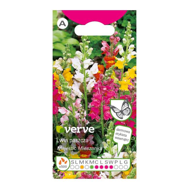 Nasiona lwia paszcza Verve mix