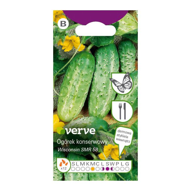 Nasiona ogórek korniszon Wisconsin SMR 5 Verve | Majsterkowanie w ...