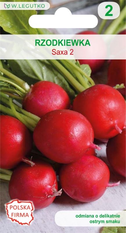 Nasiona rzodkiewka Saxa 2