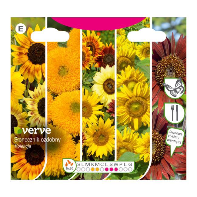 Nasiona słonecznik Verve kolekcja | Majsterkowanie w Castoramie