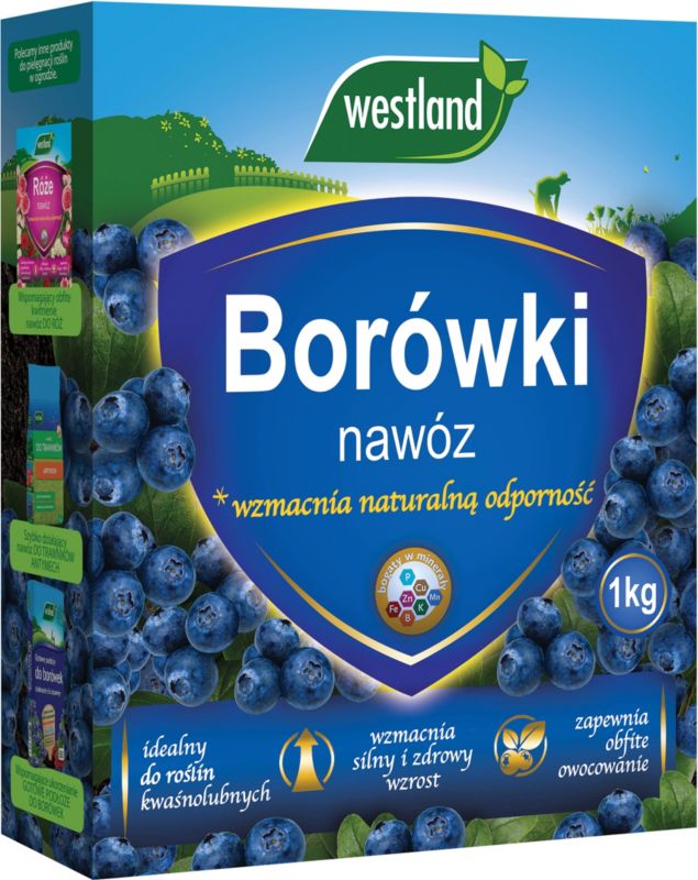 Nawóz do borówek 1 kg | Majsterkowanie w Castoramie
