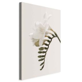 Obrazy dekoracyjne | Castorama