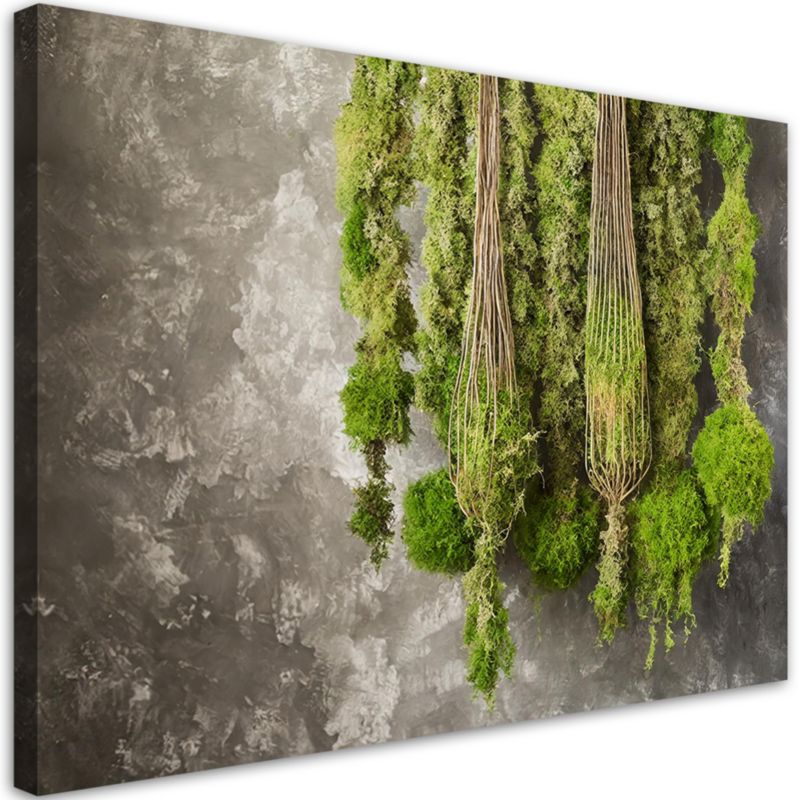 Obraz do salonu Feeby Mech Roślina Natura Zielony 120x80 cm 1szt