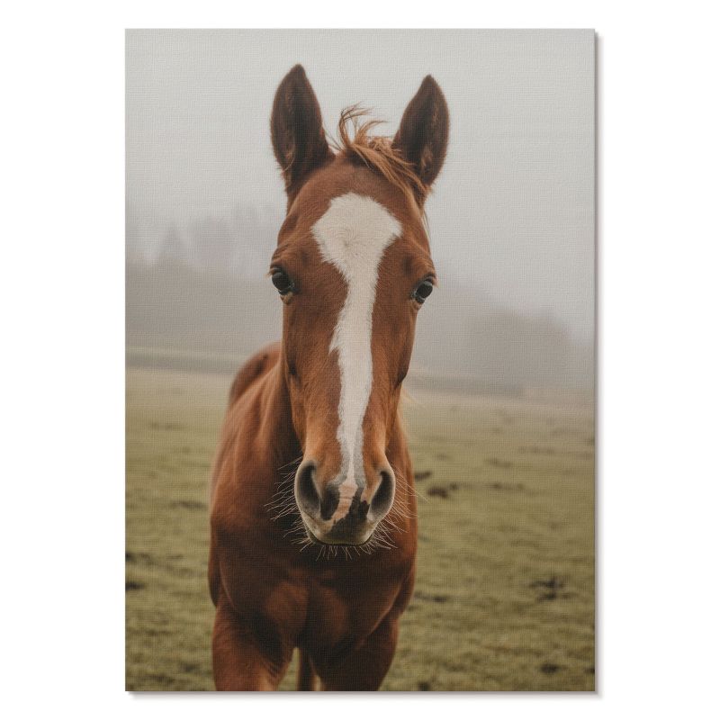 Obraz Plakat Canvas Tulup 42x59,4 cm (A2) Koń portret Do salonu ...