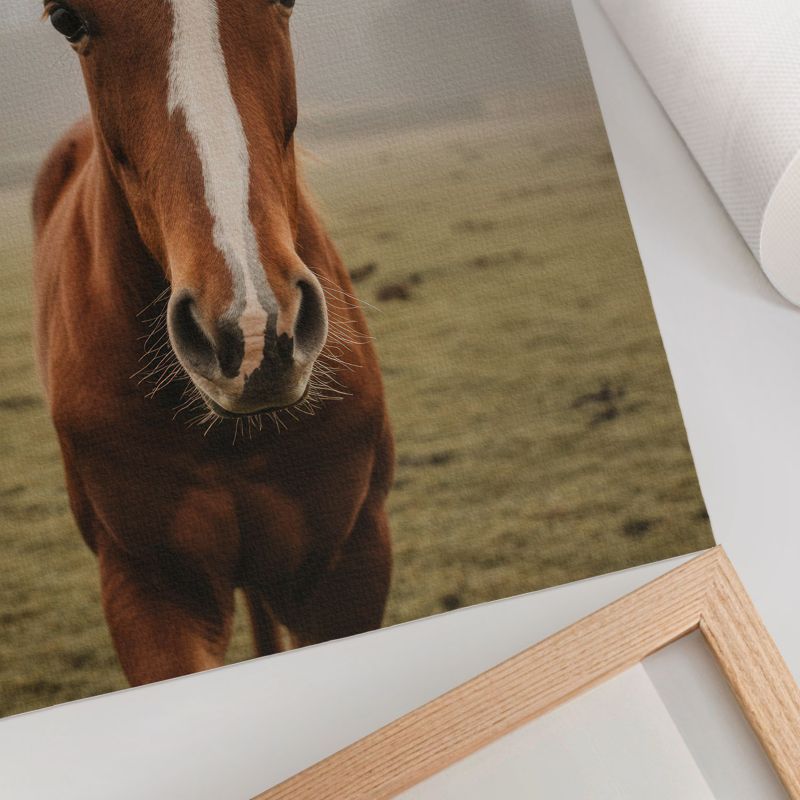 Obraz Plakat Canvas Tulup 42x59,4 cm (A2) Koń portret Do salonu ...