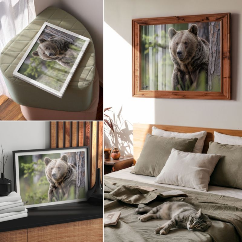 Obraz Plakat Canvas Tulup 59,4x42 cm (A2) Niedźwiedź w lesie Do salonu ...