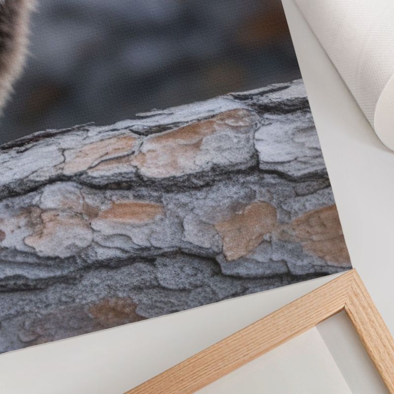 Obraz Plakat Canvas Tulup 59,4x42 cm (A2) Niedźwiedź w lesie Do salonu ...