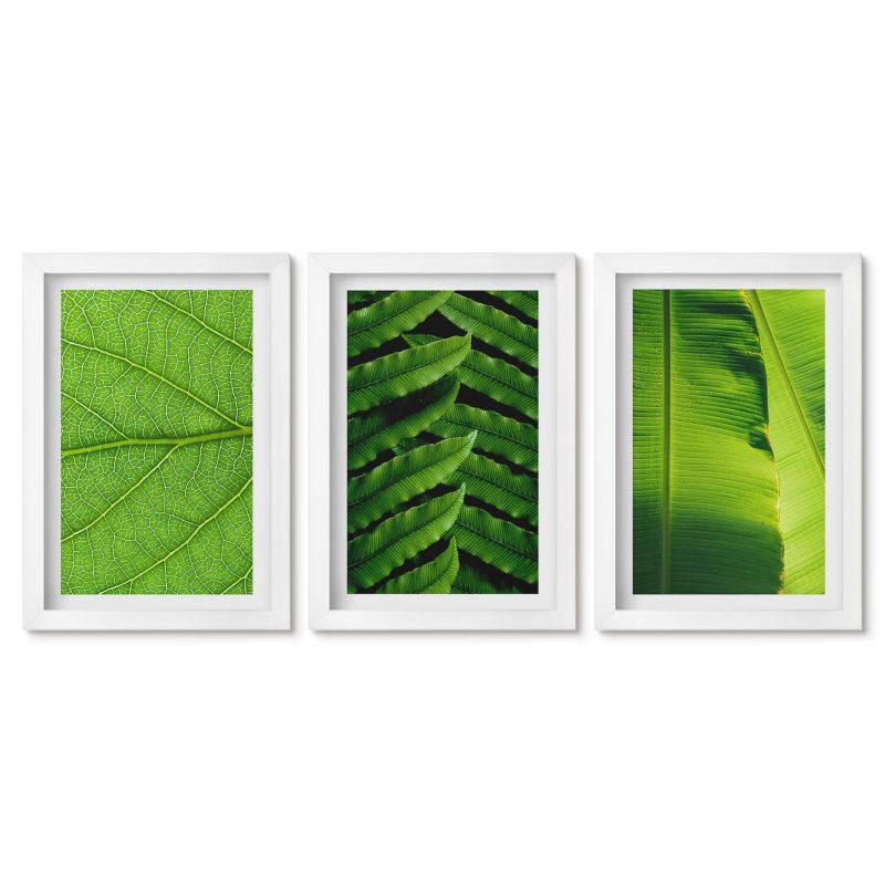 Obrazy w białej ramie Tulup 20x30 cm Liście tropikalne makrofotografia ...