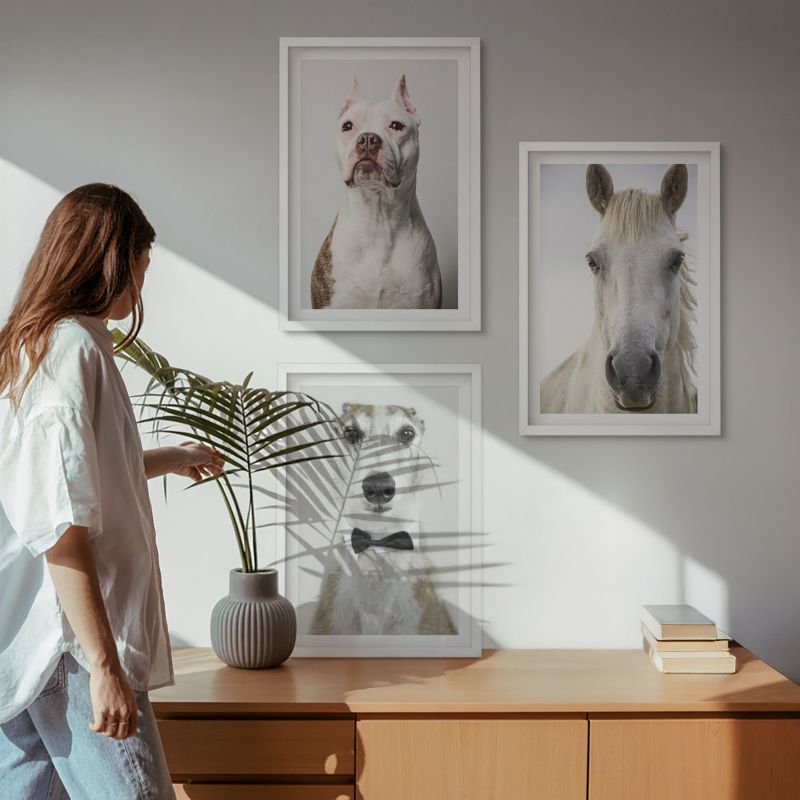 Obrazy w białej ramie Tulup 40x60 cm Portrety psów i koni elegancko ...