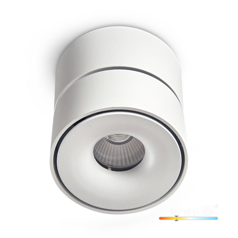 Oprawa sufitowa Lahti mini dim Kobi 9W 3000K biała 1szt ...