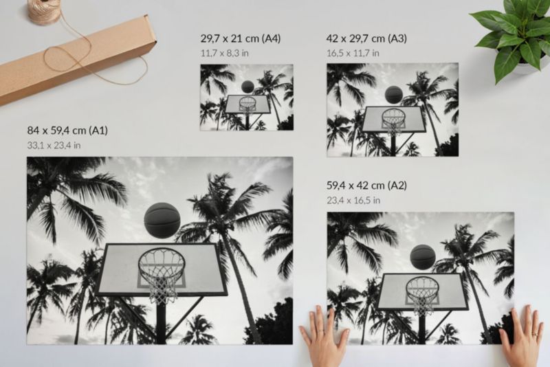Plakat canvas Wallfluent Format A2 Sportowa pasja Kolektyw Soft ...