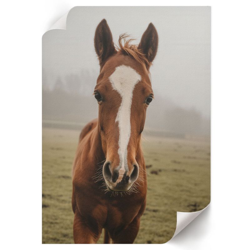 Plakat Na Ścianę ArtPrintCave 42x59,5 cm Koń portret SoliN 1 szt.