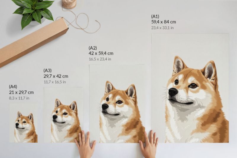Plakat na ścianę Wallfluent Format A2 Pieseł - portret Formacja ...