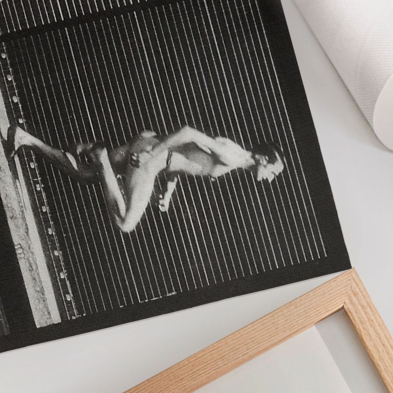 Plakat Na Płótnie ArtPrintCave 59,5x42 cm Lokomocja zwierząt Eadweard ...