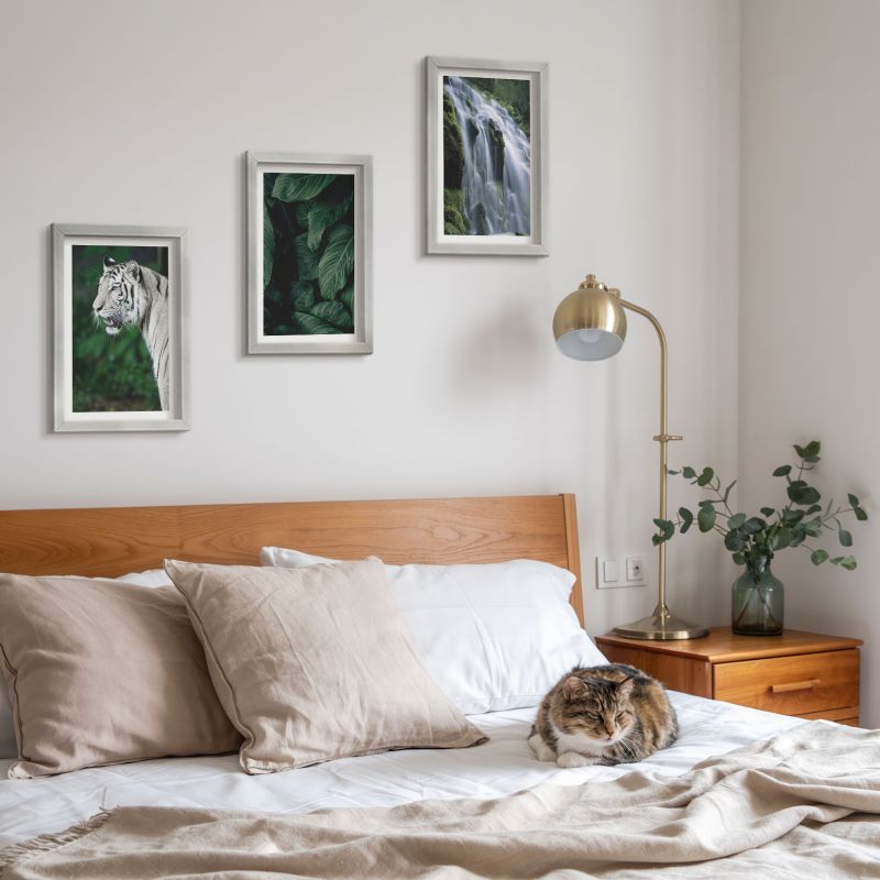 Trzyczęściowy Zestaw Obrazów ArtPrintCave 20x30 cm Srebrna rama Tygrys ...